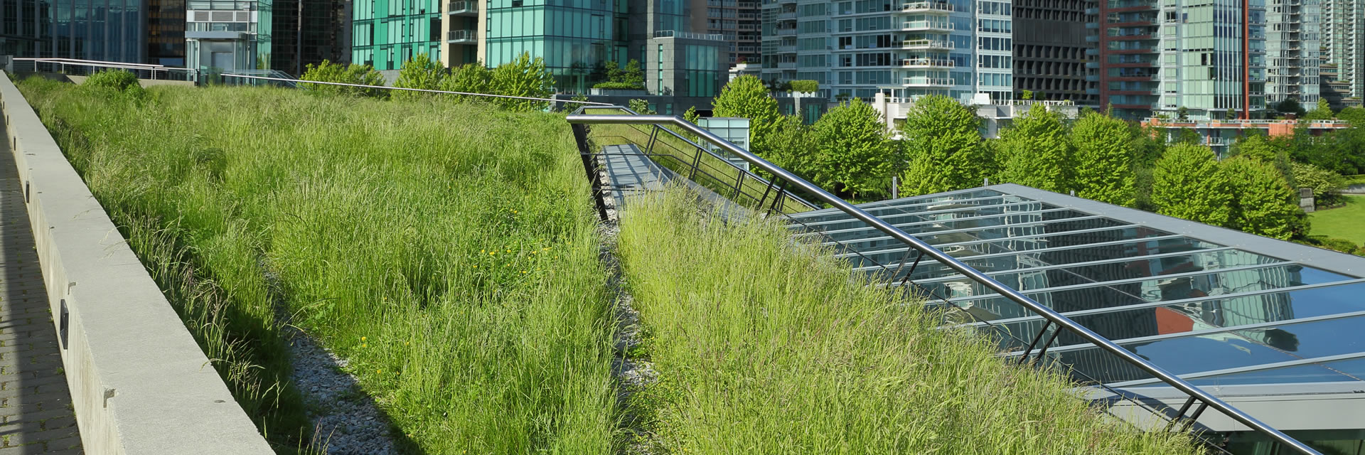 Blog da Cinexpan – Página: 2 – Notícias e Informações sobre argila ...